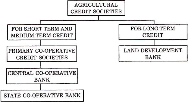 Structure Of Cooperative Banks In India